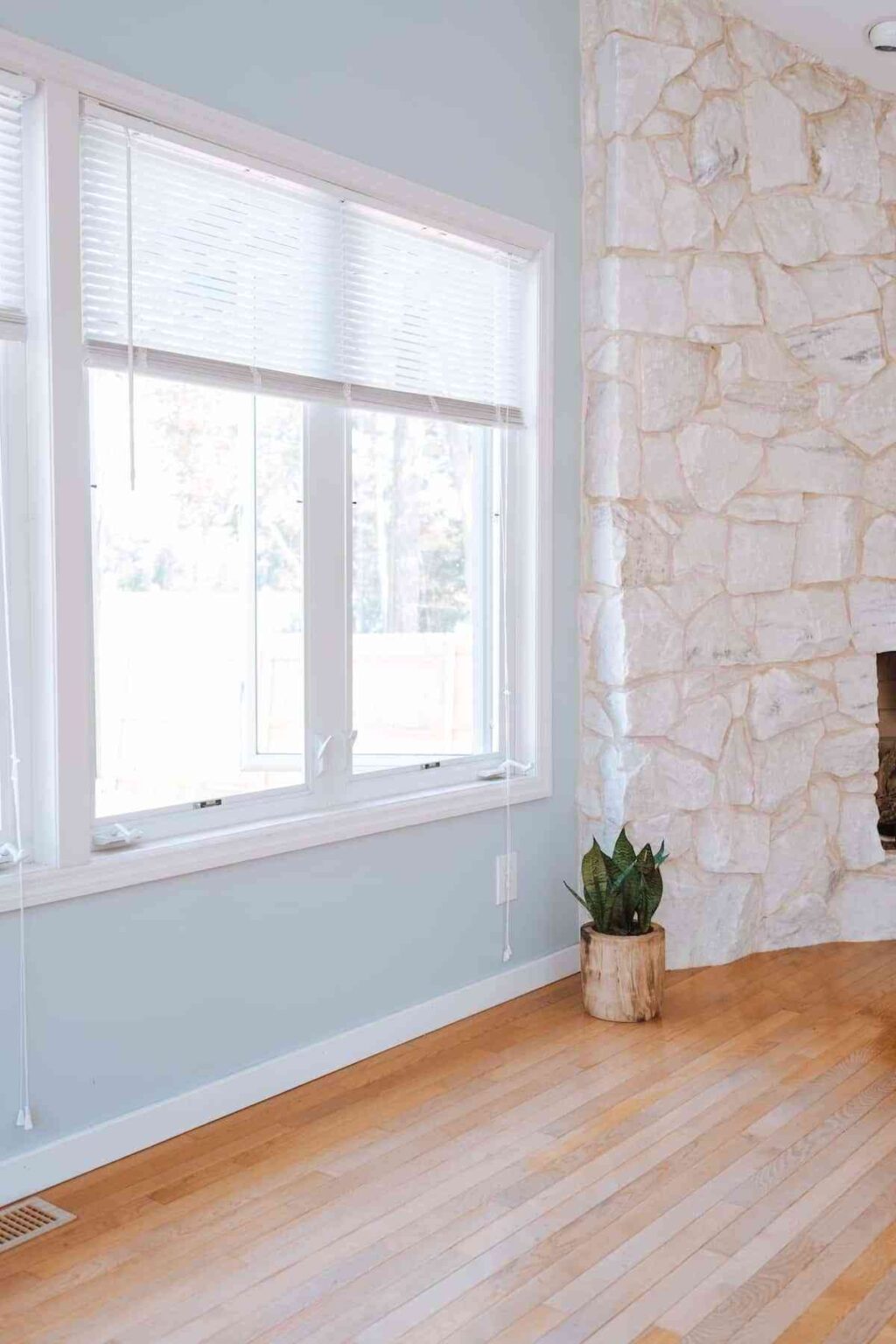 Todo lo que debes saber para introducirte en el mundo del feng shui