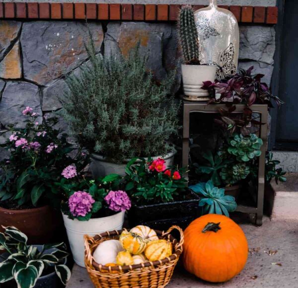 Las calabazas traen el colorido del otoño a casa con estas 8 ideas ...
